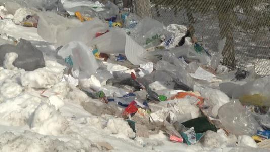 A 'living plastic' that self-destructs