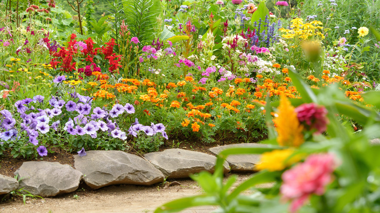 Savvy gardeners know that deadheading these 12 common flowers is a mistake
