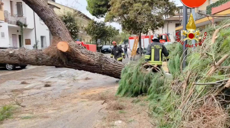 Meteo: previste piogge abbondanti in FVG nella notte