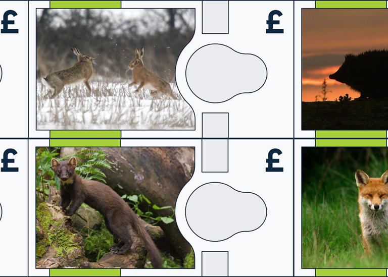 Bank of England reveals which animals could feature on its new-look ...