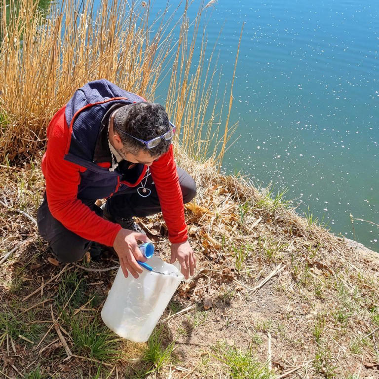 Laghi e torrenti lombardi stressati e in salute precaria: dal check up ...