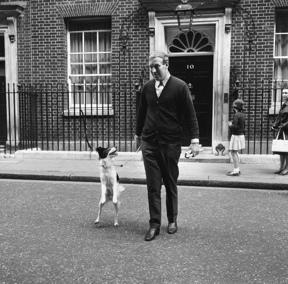 World Cup tales part 3: The dog that found the stolen trophy and became ...
