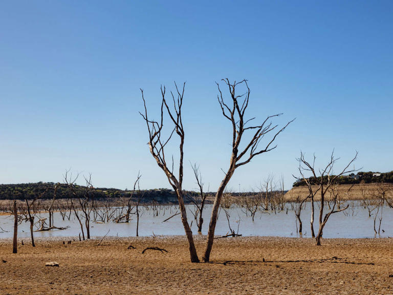 After heavy spring rainfall, here's how much South Texas lake levels ...