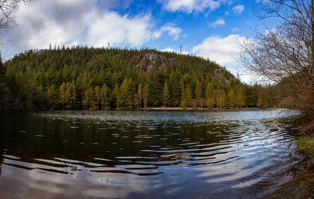 Bodies of 2 paddleboarders recovered from Browning Lake in Squamish