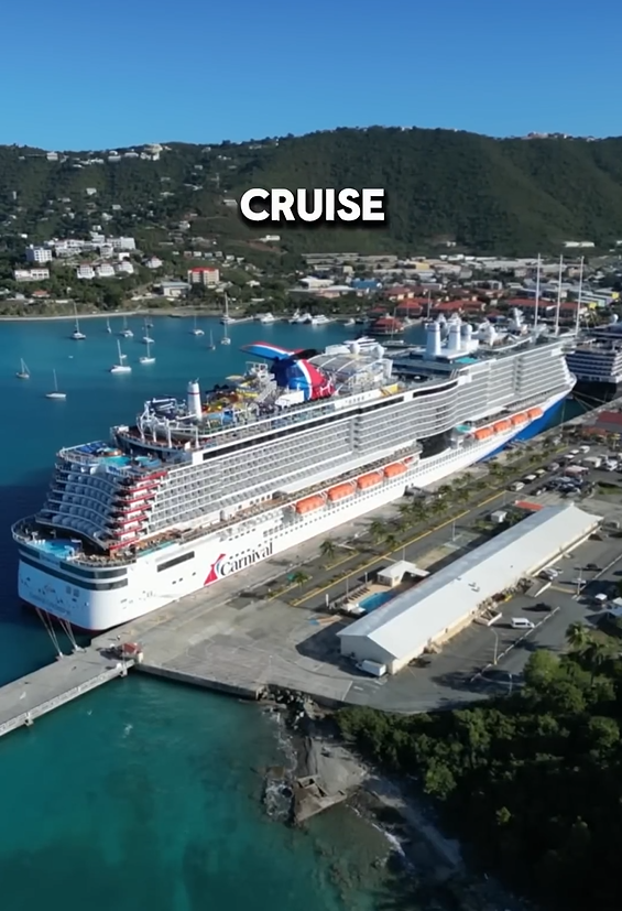 Carnival vs Royal Caribbean: Which cruise line is better?