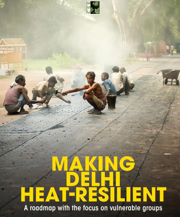 Three-fourths of Delhi faces heat stress as green cover shrinks, CSE ...