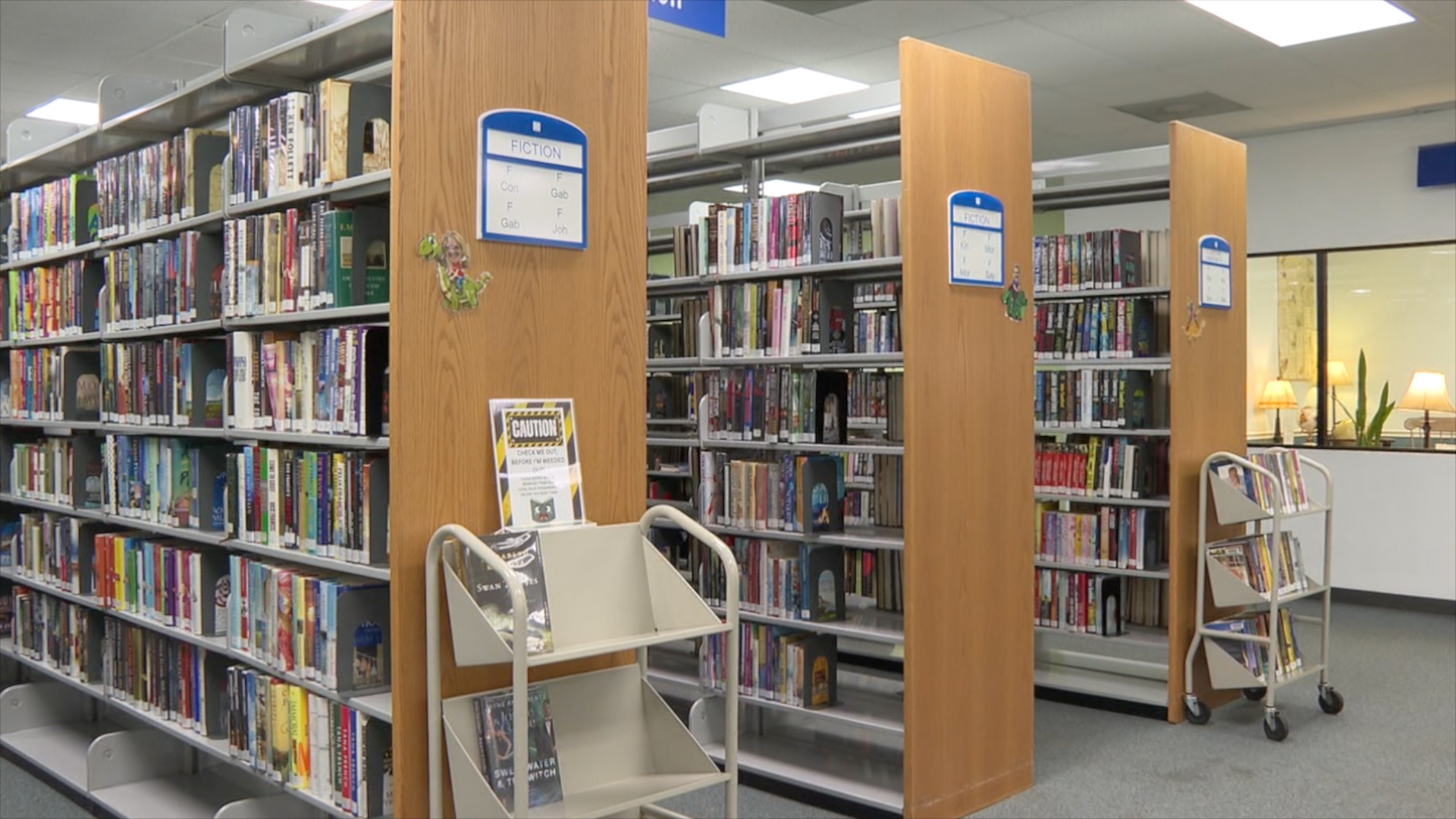 Wakulla County Public Library launches 'Unearth a Story' summer reading ...