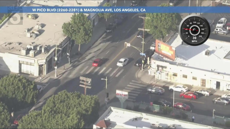 Suspected car thief in custody after LA police chase
