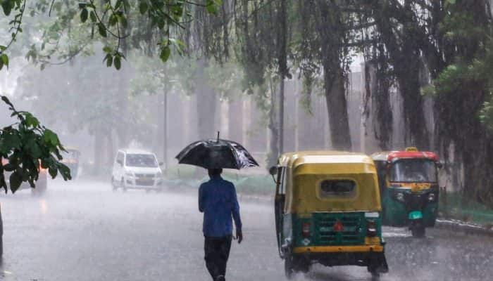 WMO issues global red alert: 'Very strong' El Niño to trigger severe ...
