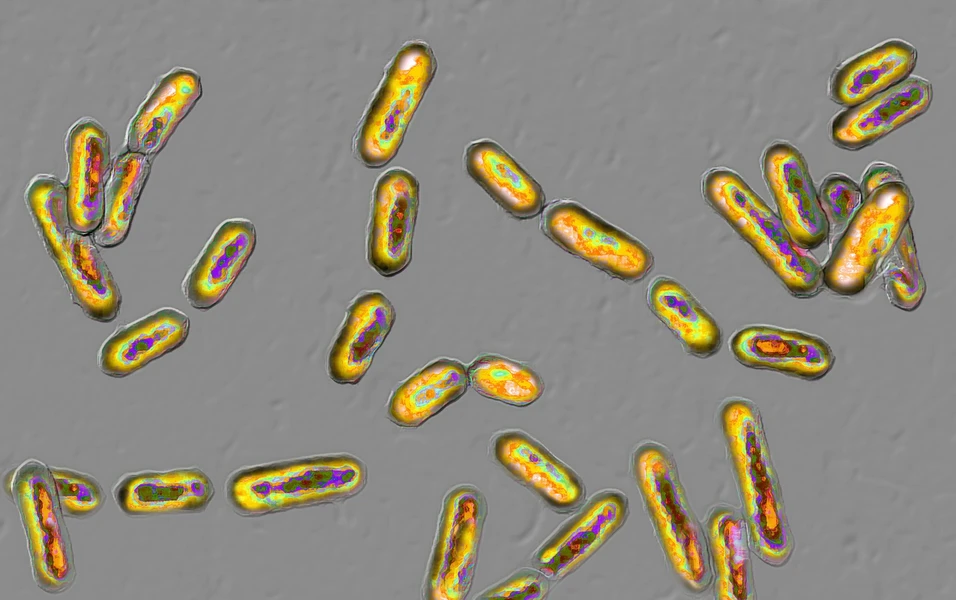 Your gut’s SOS: decoding diarrhea relief