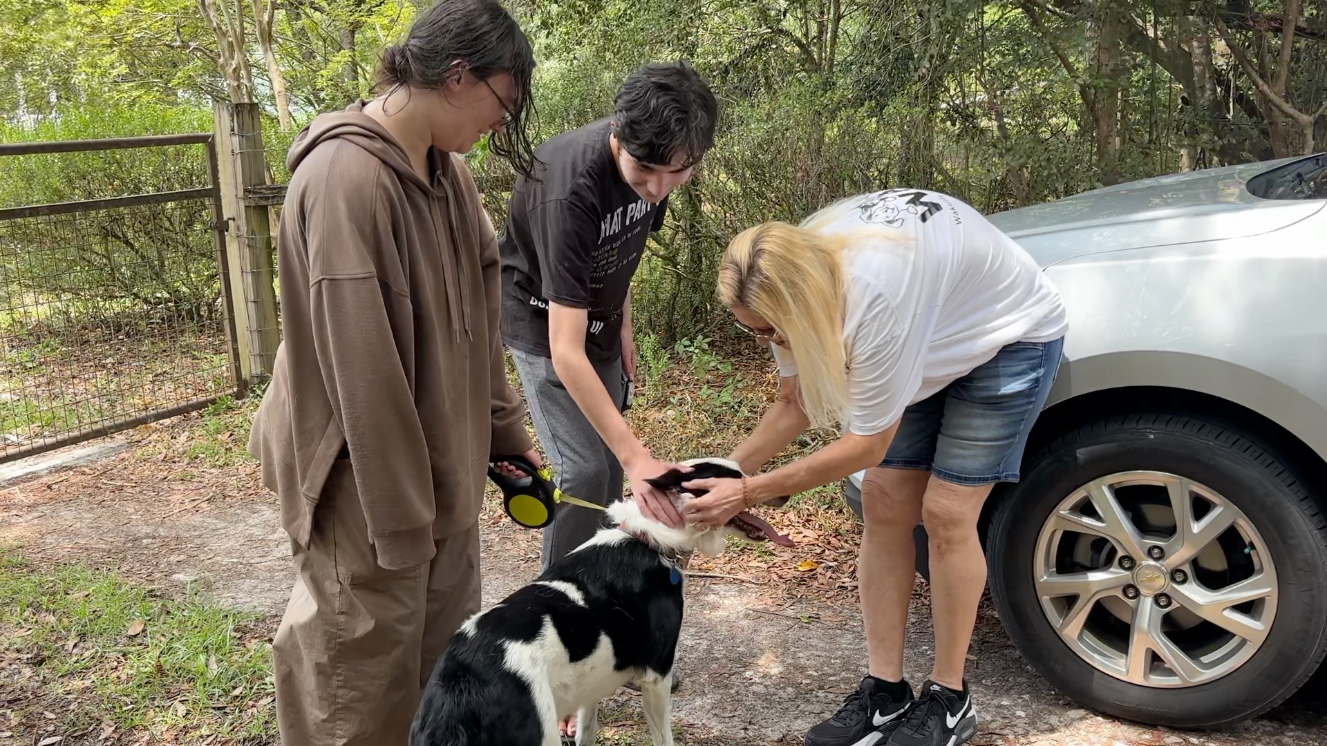 Wakulla Animal Group places microchip scanning stations across the ...