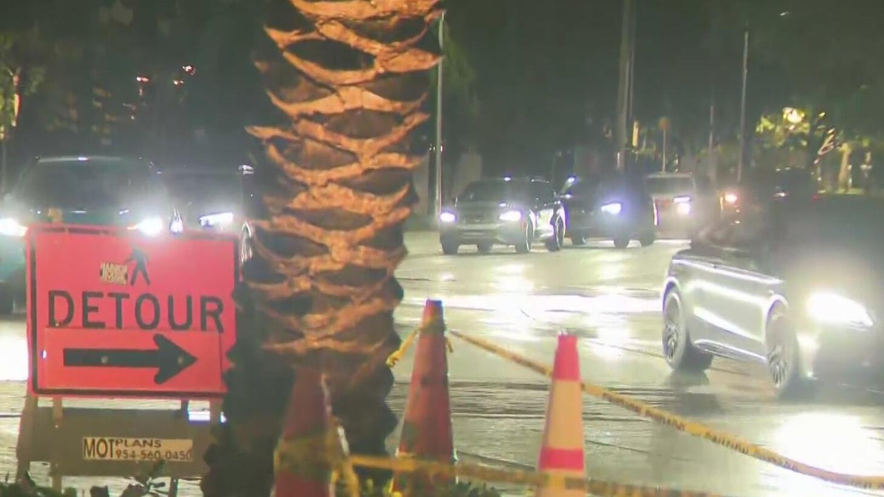 Video shows car slamming into tree near Brickell condo, sparking safety ...