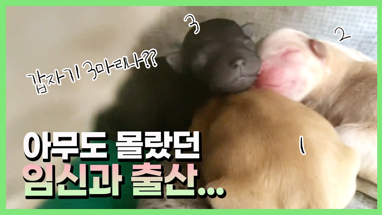 갑자기 임신해서 낳아버린 사연