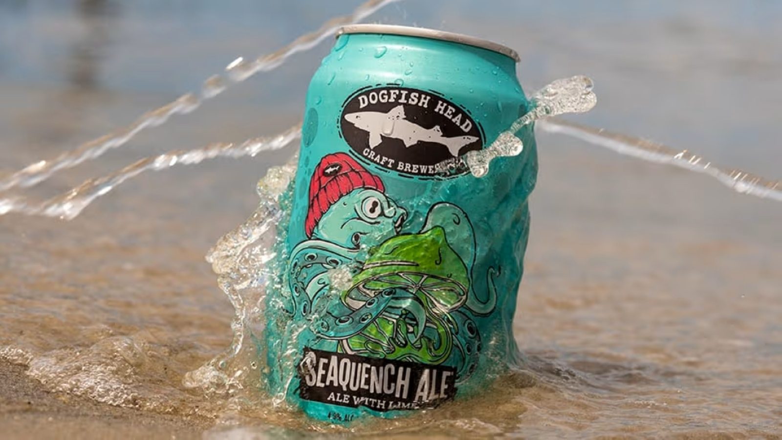 Best canned craft beers available everywhere