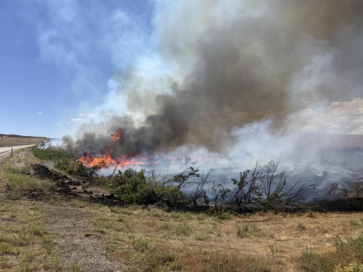 Brush fire near Colorado-Utah border extinguished by joint team of ...