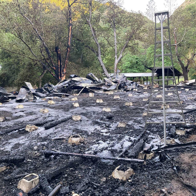 Bay Area woman charged with arson, hate crime in monastery fire that ...