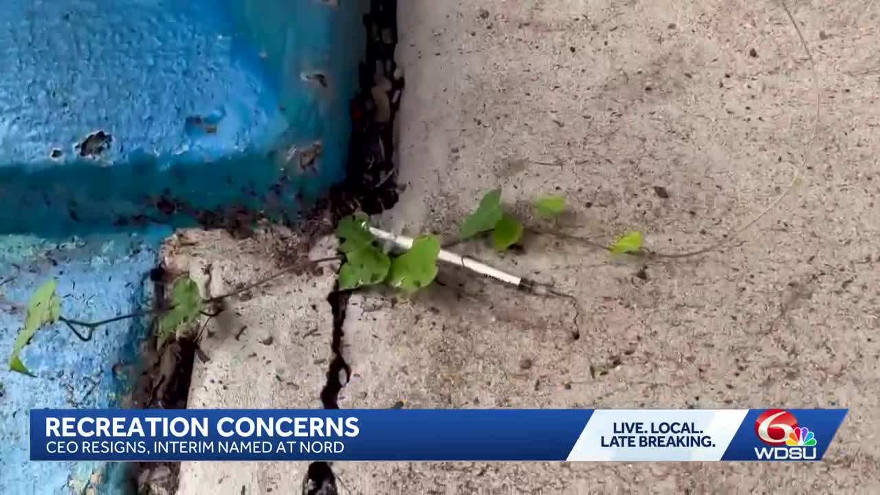 Needles found at Mid-City park raise concerns