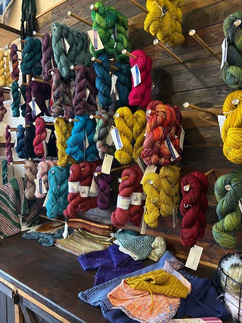 The yarn selection at this Texas shop feels like a treasure hunt for ...