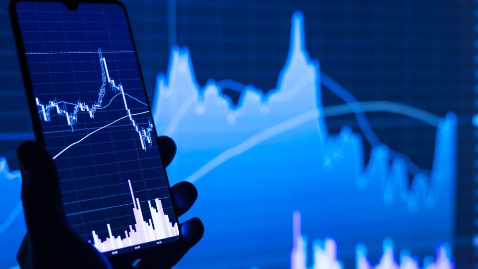 Small-cap stock Shreeji Shipping Global shows resilience against stock ...