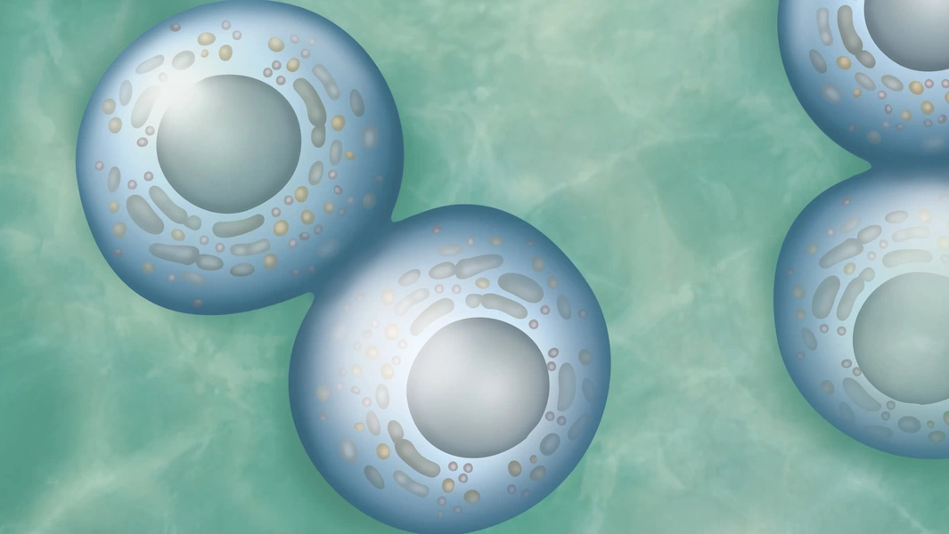 Scientists link multicellular origins to physics, not genes alone