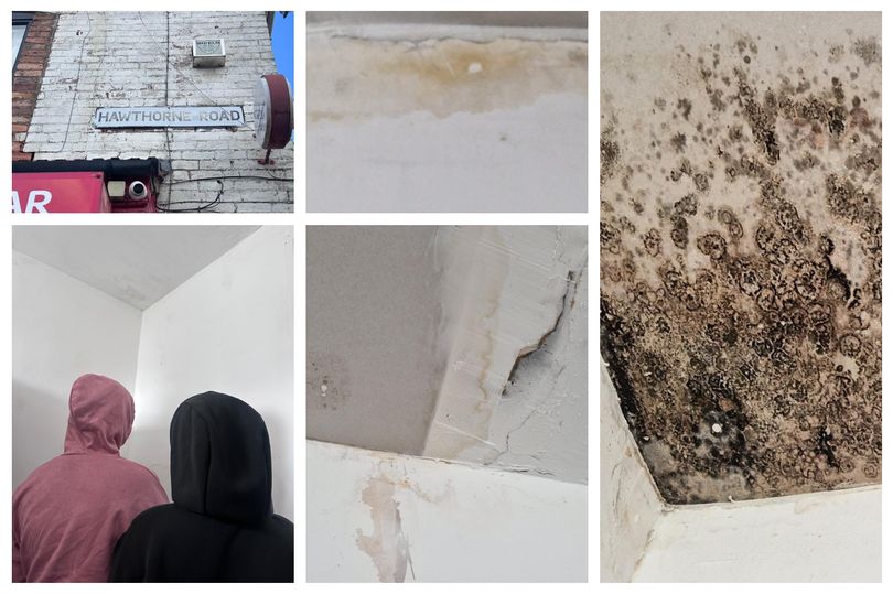 Fears for Birmingham asthma boy, 6, after ceiling collapse in mould ...