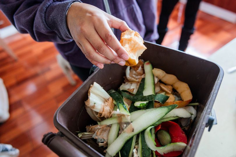 Two food waste bin mistakes causing maggots and flies – binman issues ...