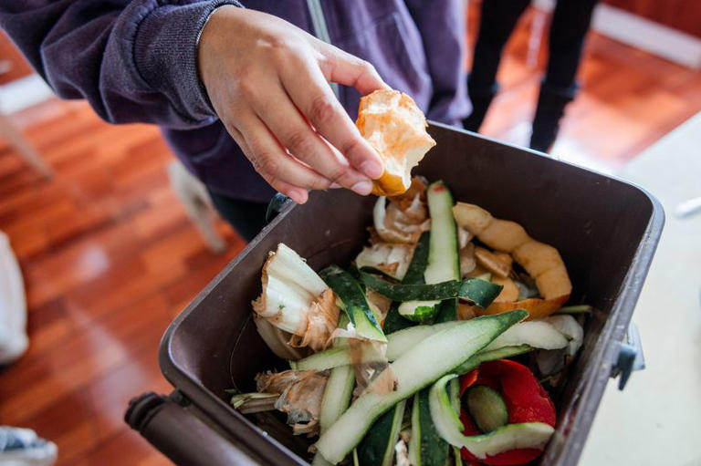 Two food waste bin mistakes causing maggots and flies – binman issues ...