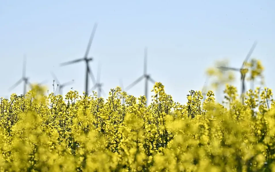 UK sets legally binding 87% emissions cut target by 2040