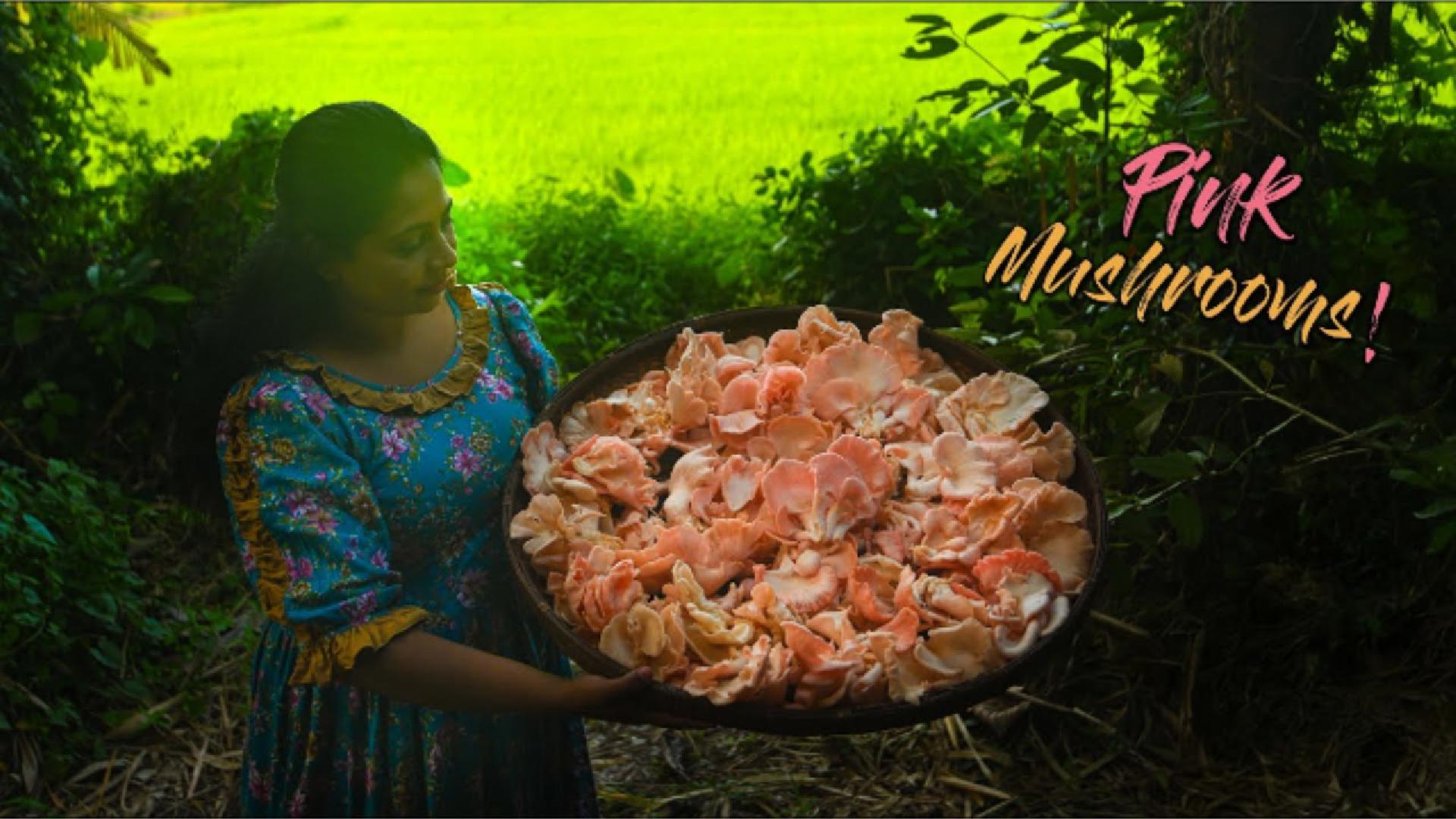 A rare harvest of pink mushrooms becomes a traditional feast