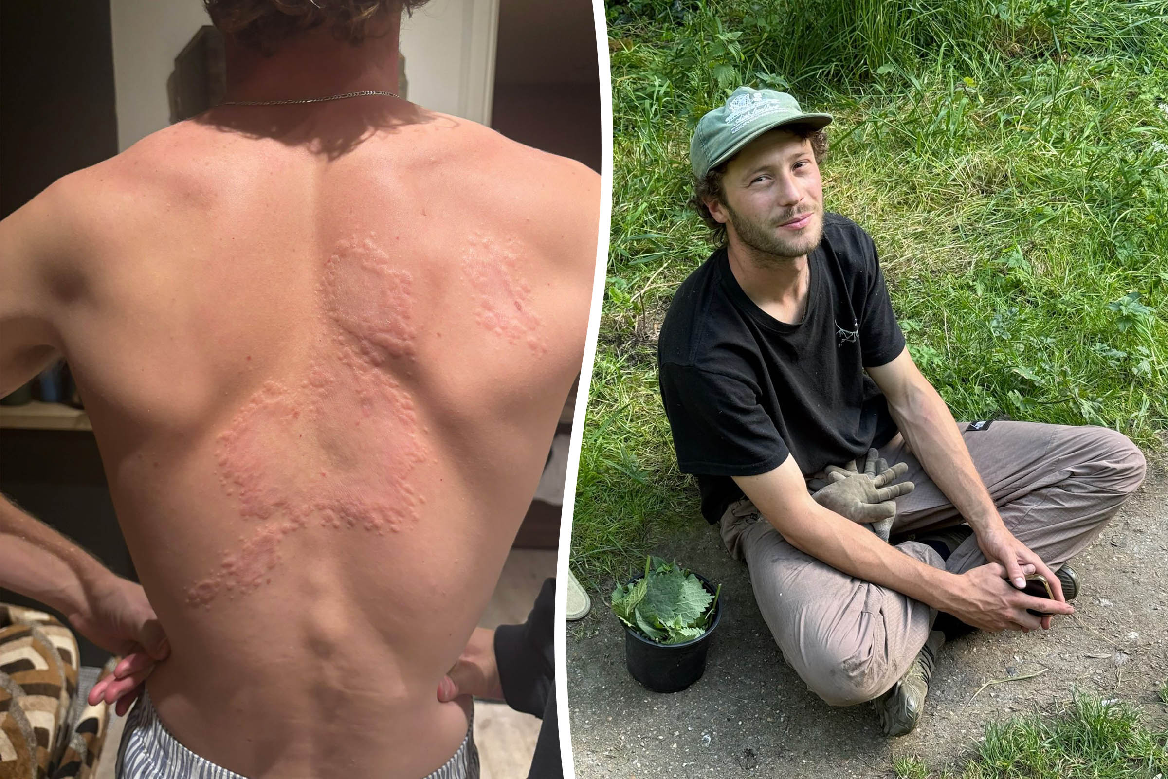 Man saves £400 a month by foraging food in London parks and cemeteries