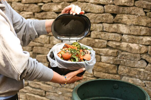 Stop making 2 food waste mistakes - bin man says it causes maggots