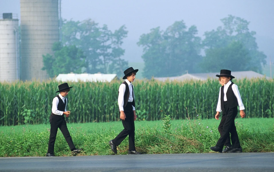 Amish diet and lifestyle linked to lower chronic disease rates