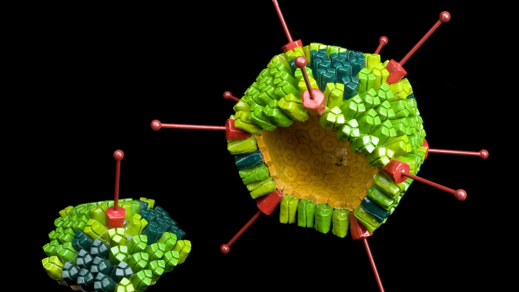 Immunotherapy plus radiation boosts prostate cancer survival