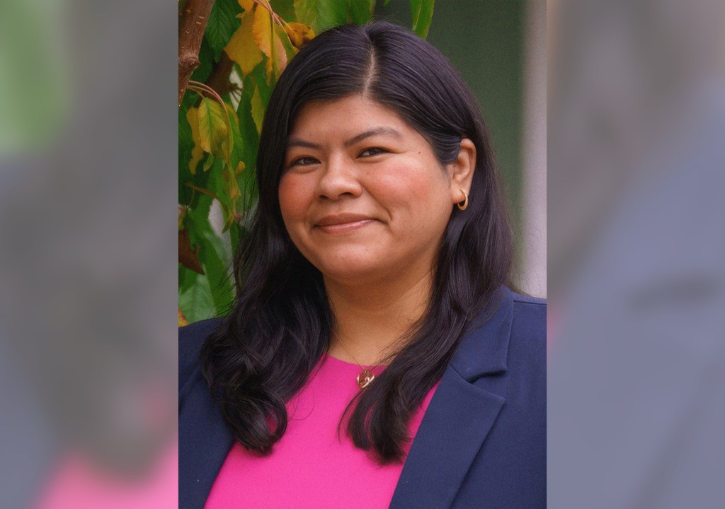Novato school board president Limeta leads five-candidate Marin County ...