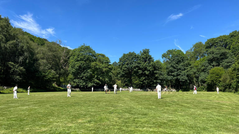 Pitch vandals 'not going to stop' cricket club