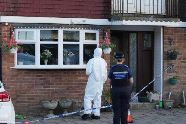 Man charged with murder after 84-year-old woman found dead