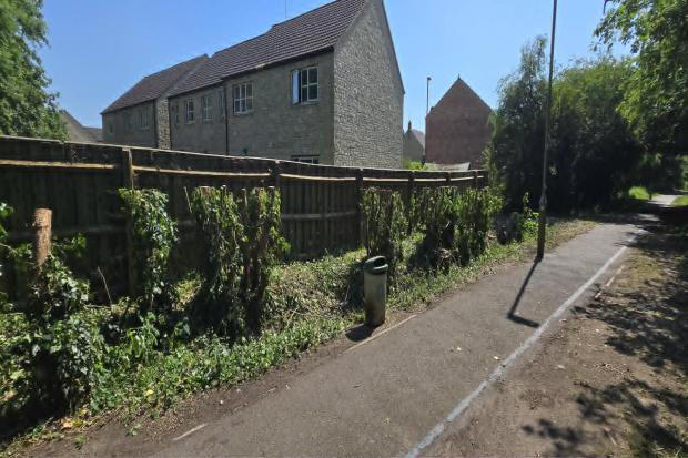 Concerns over 'butchered' trees damaging wildlife along popular ...