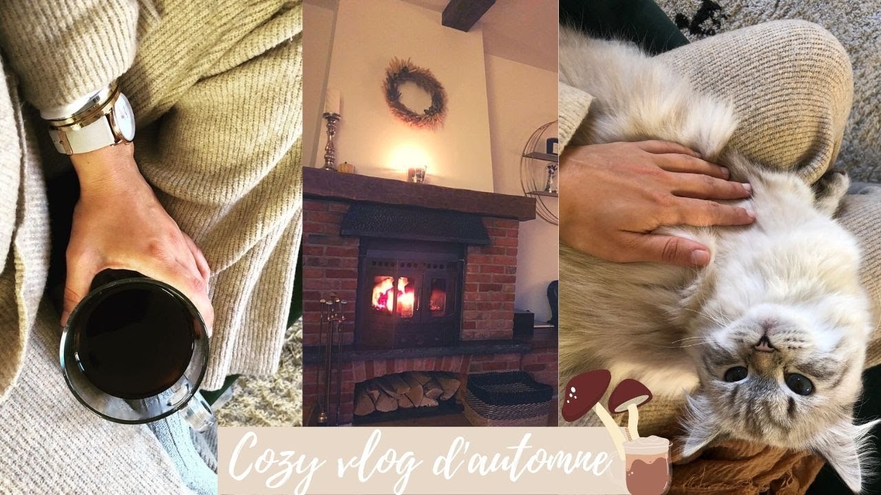 Cozy vlog recettes automnales faciles et rapides