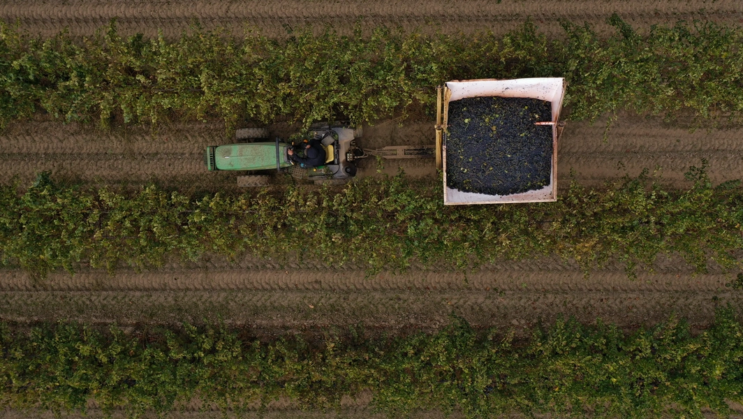 Lodi’s wine country emerges as a rising culinary destination
