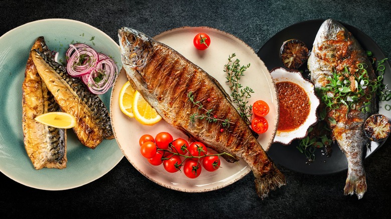 12 best types of fish for grilling