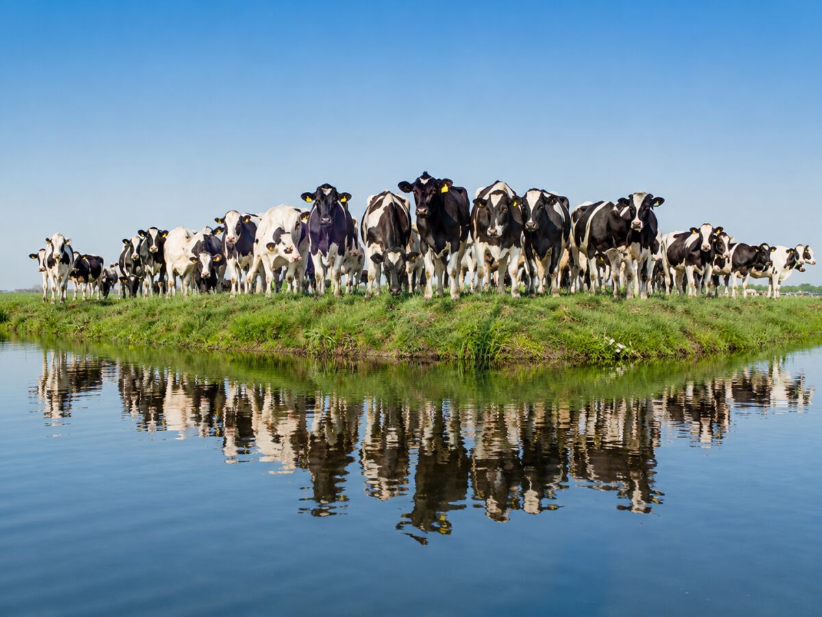 Doelsturing in de landbouw: een riskante vlucht naar voren