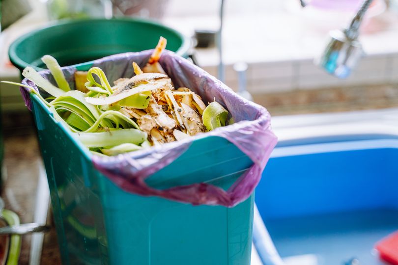 Binman urges public to stop 2 food waste mistakes that cause disgusting ...