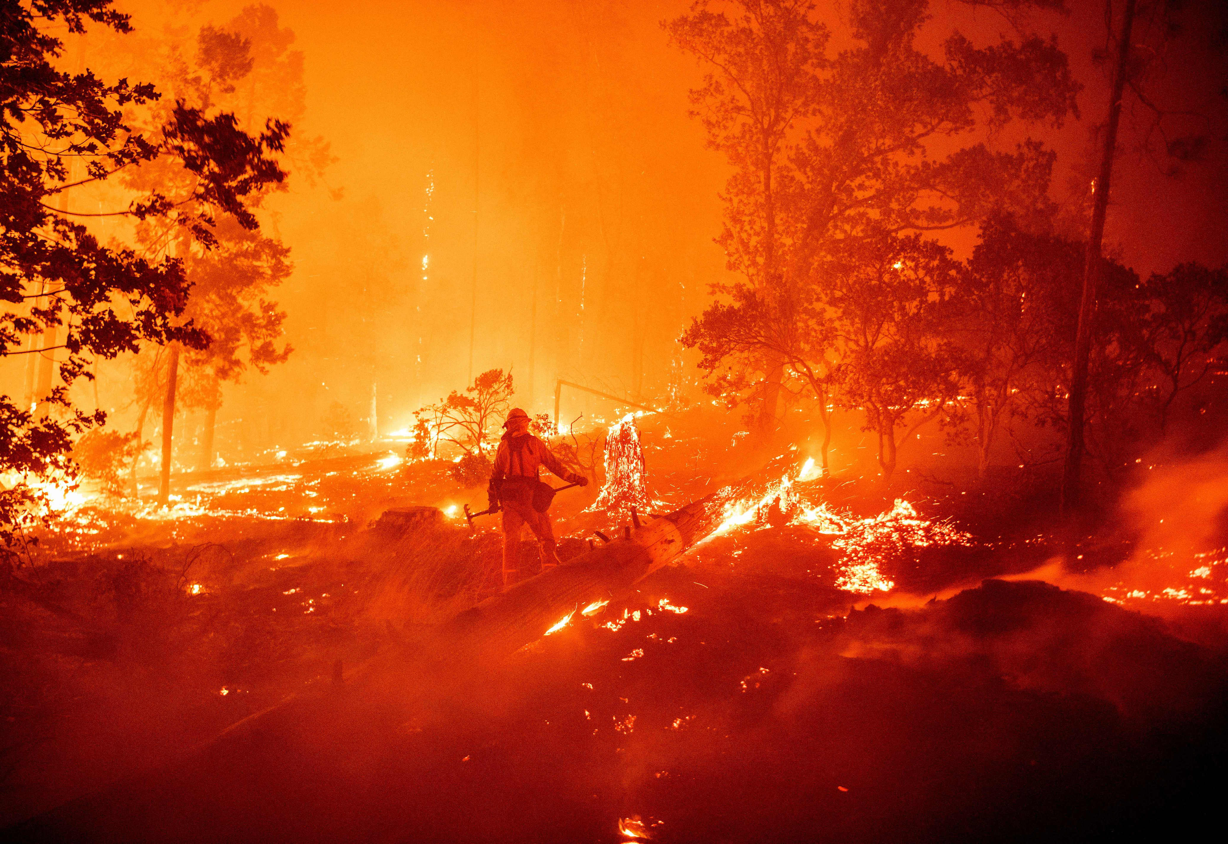 3 companies agree to pay $4M after fire sparked during gender reveal in ...
