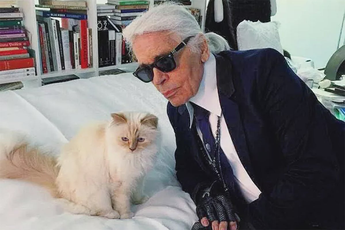 Yes, Karl Lagerfeld’s incredibly rich cat deserves even more money