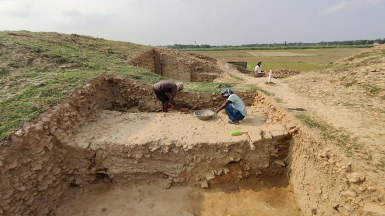 ASI digging Balirajgarh 4rth time. Why Ancient Bihar is important to ...