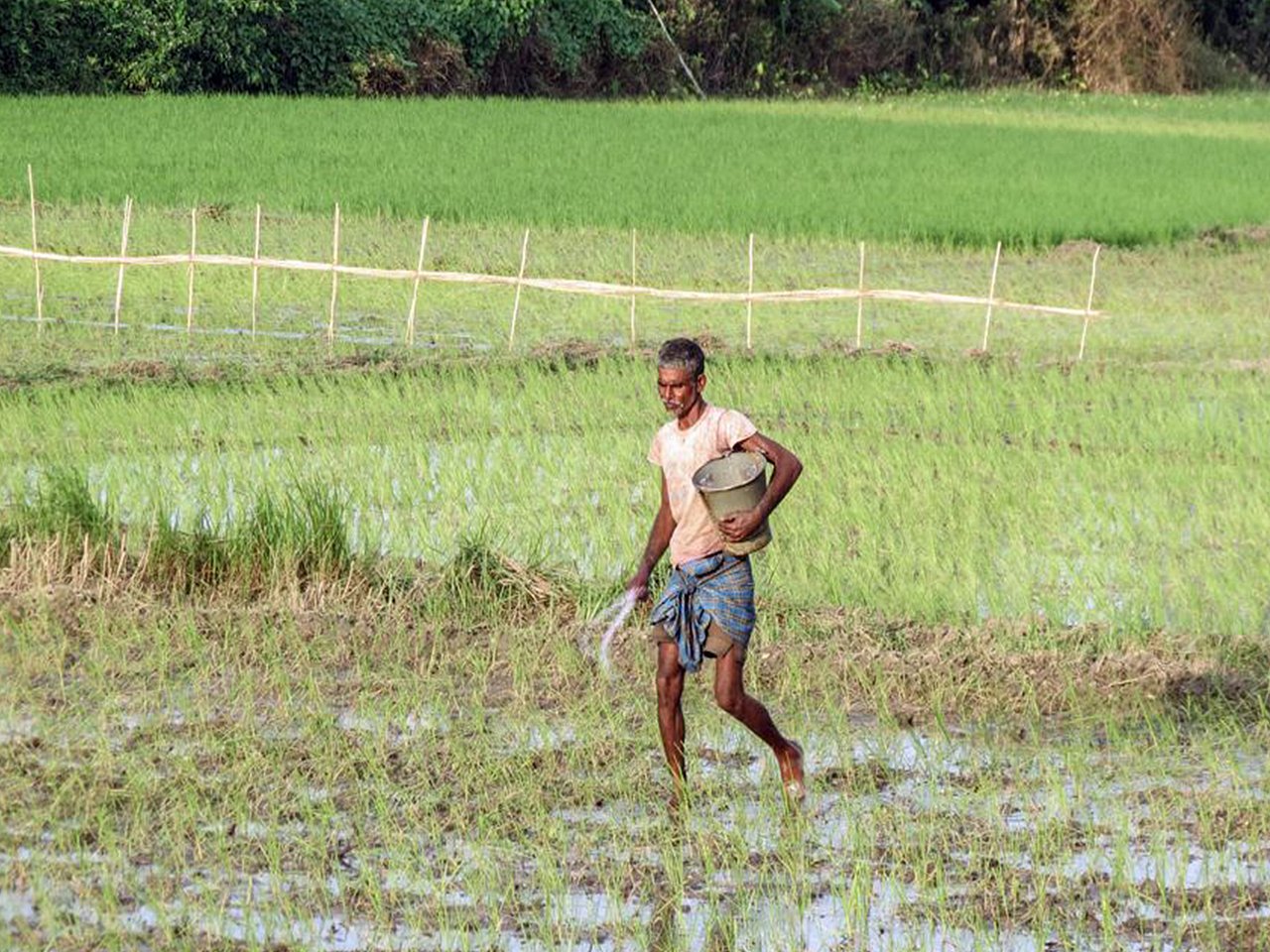 Weak monsoon outlook raises concerns over farm output and food inflation