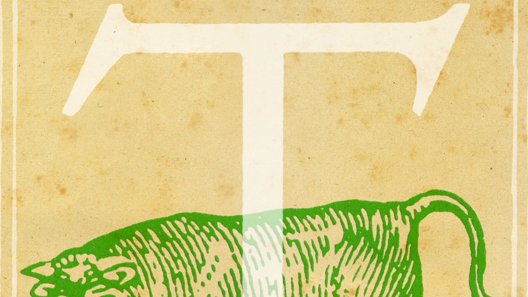 Five zodiac signs highlighted for strong work ethic