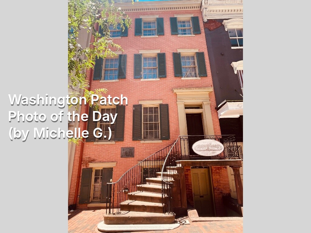 🌱 Patch AM: How one Capitol Hill native is documenting DC’s ...