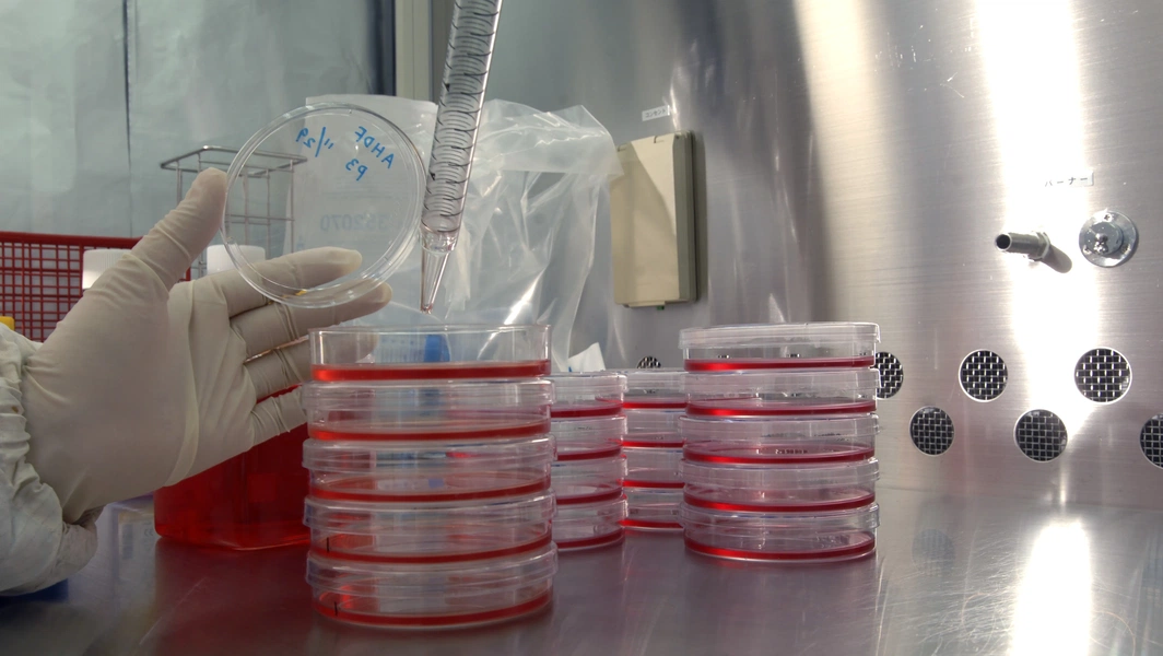 Scientists 3D print living skin that grows blood vessels