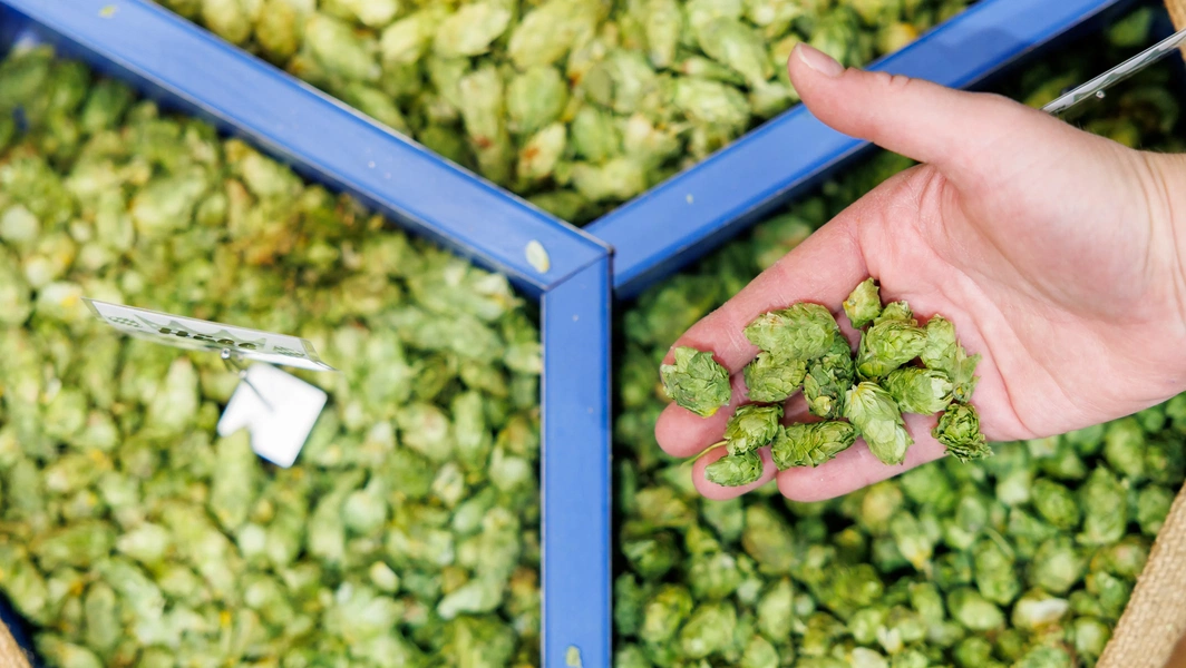 12 standout non-alcoholic beers for every taste